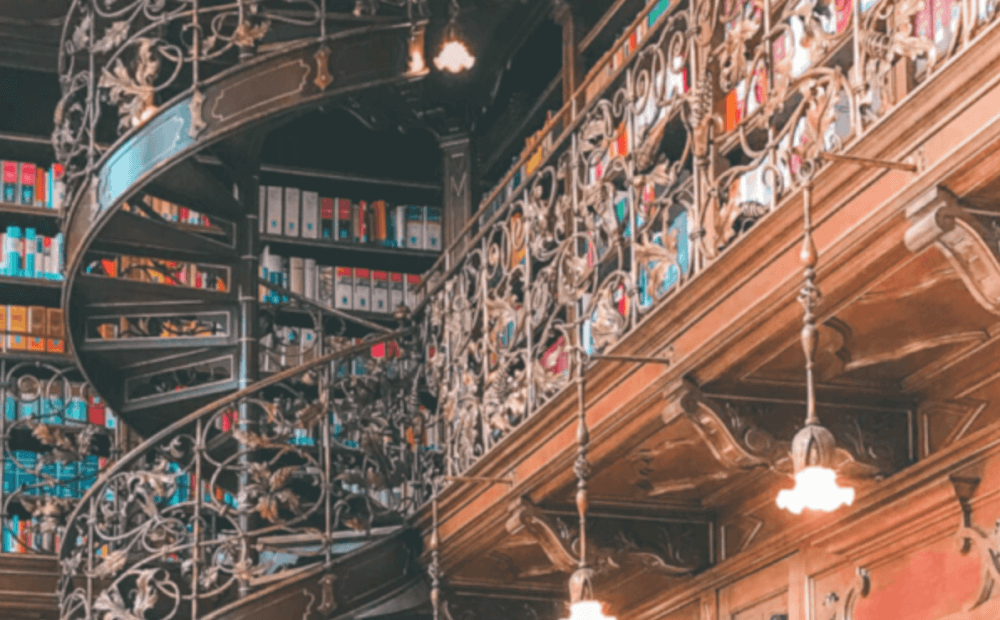 Magical Libraries In Munich And Bavaria You Need To Visit!